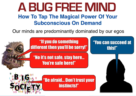 Review of Bug Free Mind (in progress) | by Aunty